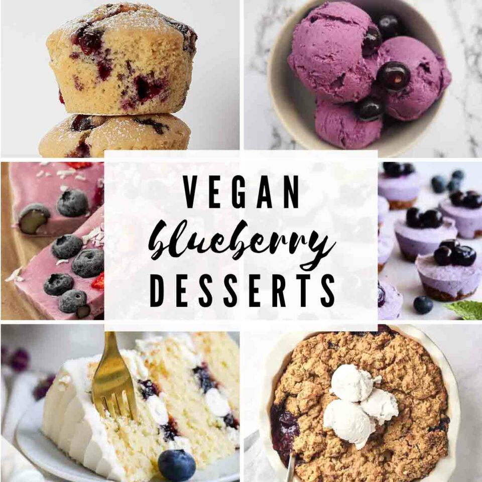 30 Easy Vegan Blueberry Desserts - BakedbyClo | Vegan Dessert Blog