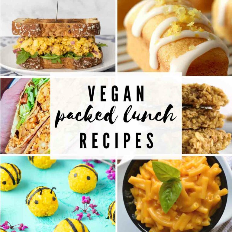 45+ Tasty Vegan Packed Lunch Recipes For Adults & Kids - BakedbyClo ...